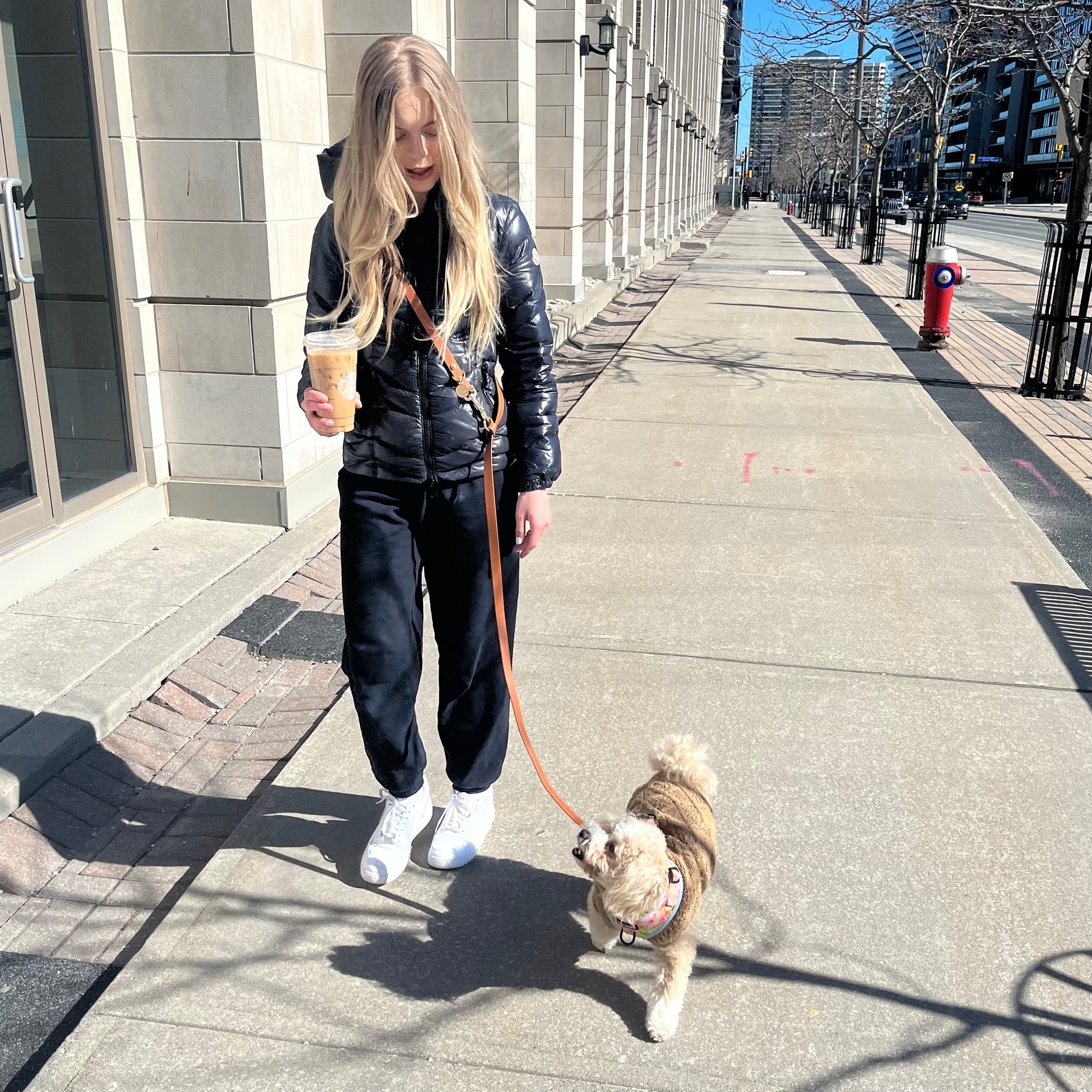 PRÊT-À-PUPPY | Premium Dog Goods | Handmade Dog Collars & Leashes